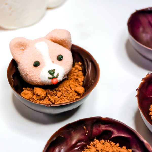 How to Make Hot Chocolate Bombs with Corgi Marshmallows for Gifts