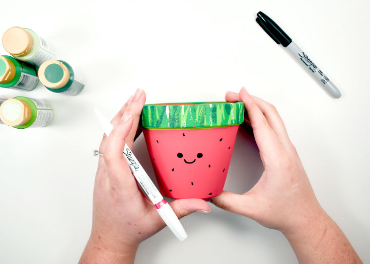 Painted Planter Ideas: How to Make Watermelon Painted Terracotta Pots